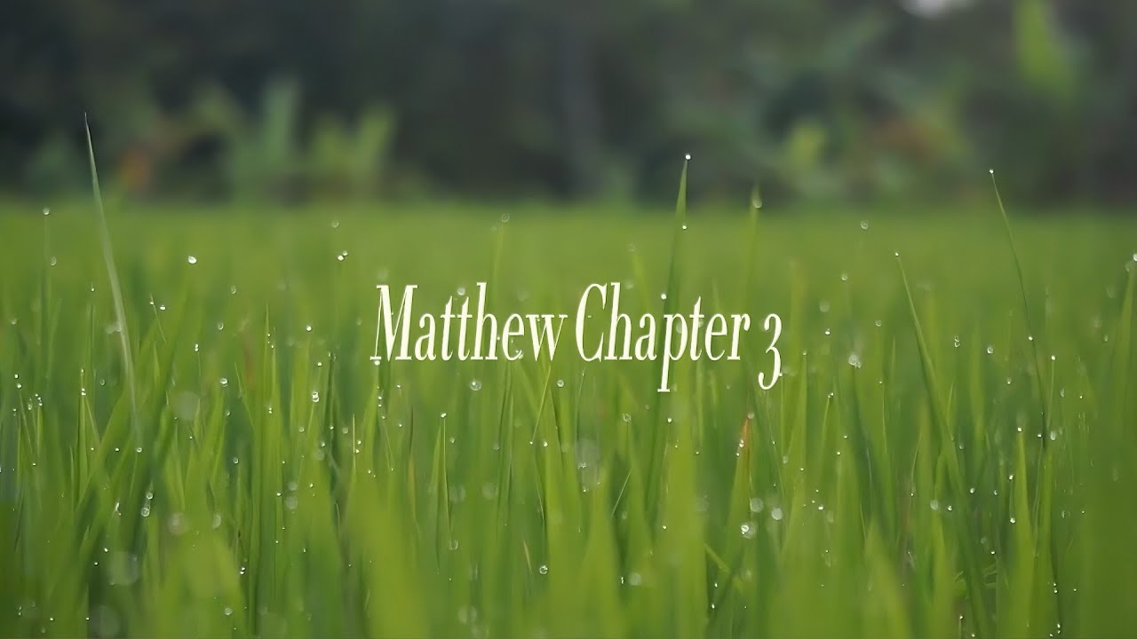 Matthew chapter 3 - The Voice in the Wilderness: John the Baptist ...