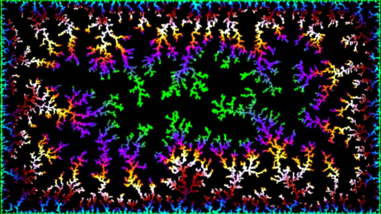 Diffusion Limited Aggregation (2D DLA) 2 - YouTube