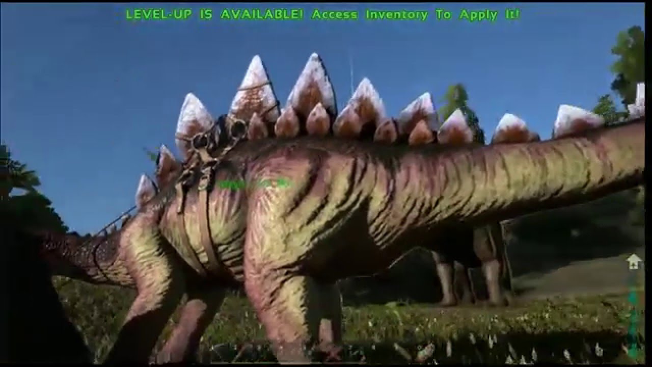 아크 서바이벌 이볼브드] 11일TV의 스테고 초보가이드 [ark survival evolved Stego - YouTube