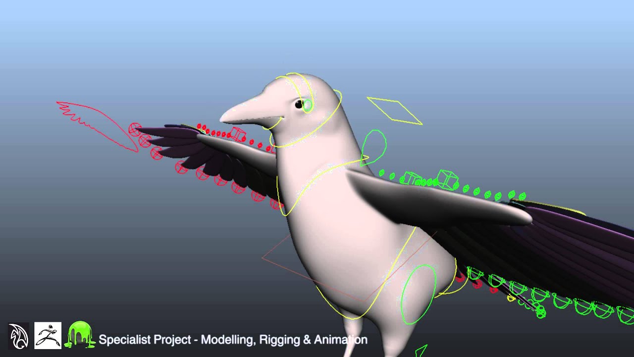 Bird rig - YouTube