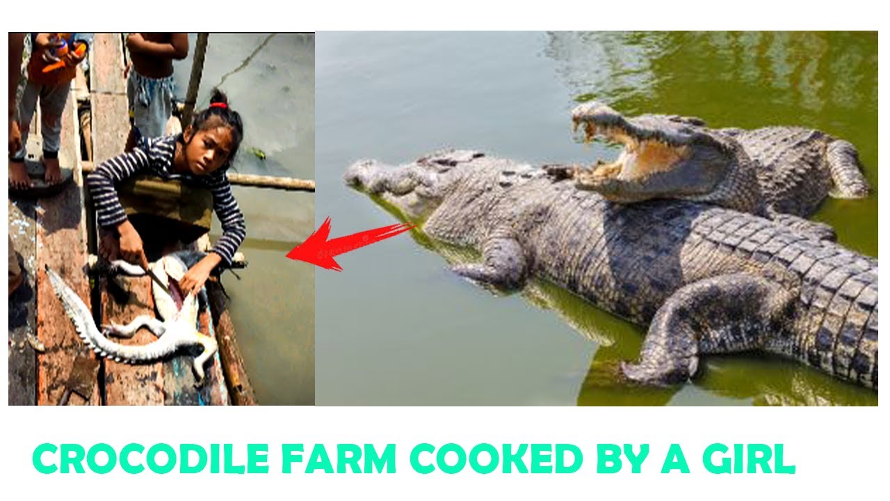 Brave girl who she is Cooking crocodile, their foods are delicious # ...