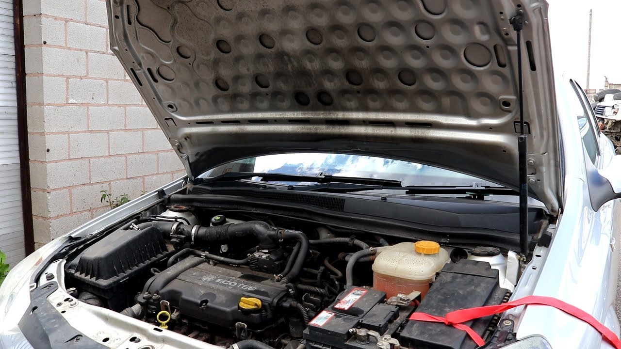 FILTHY Engine Bay Gets Deep Cleaned! - YouTube