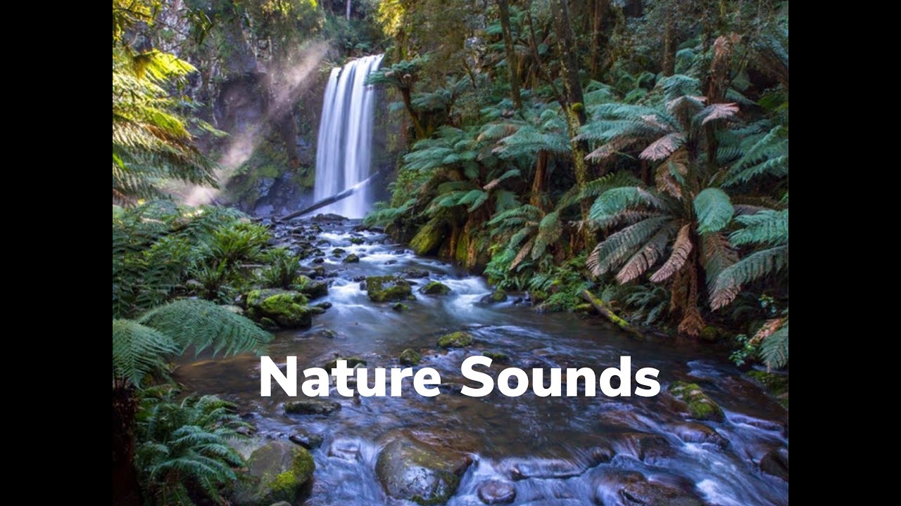 Nature Sounds Soothing waterfall and birds for Relaxation - YouTube