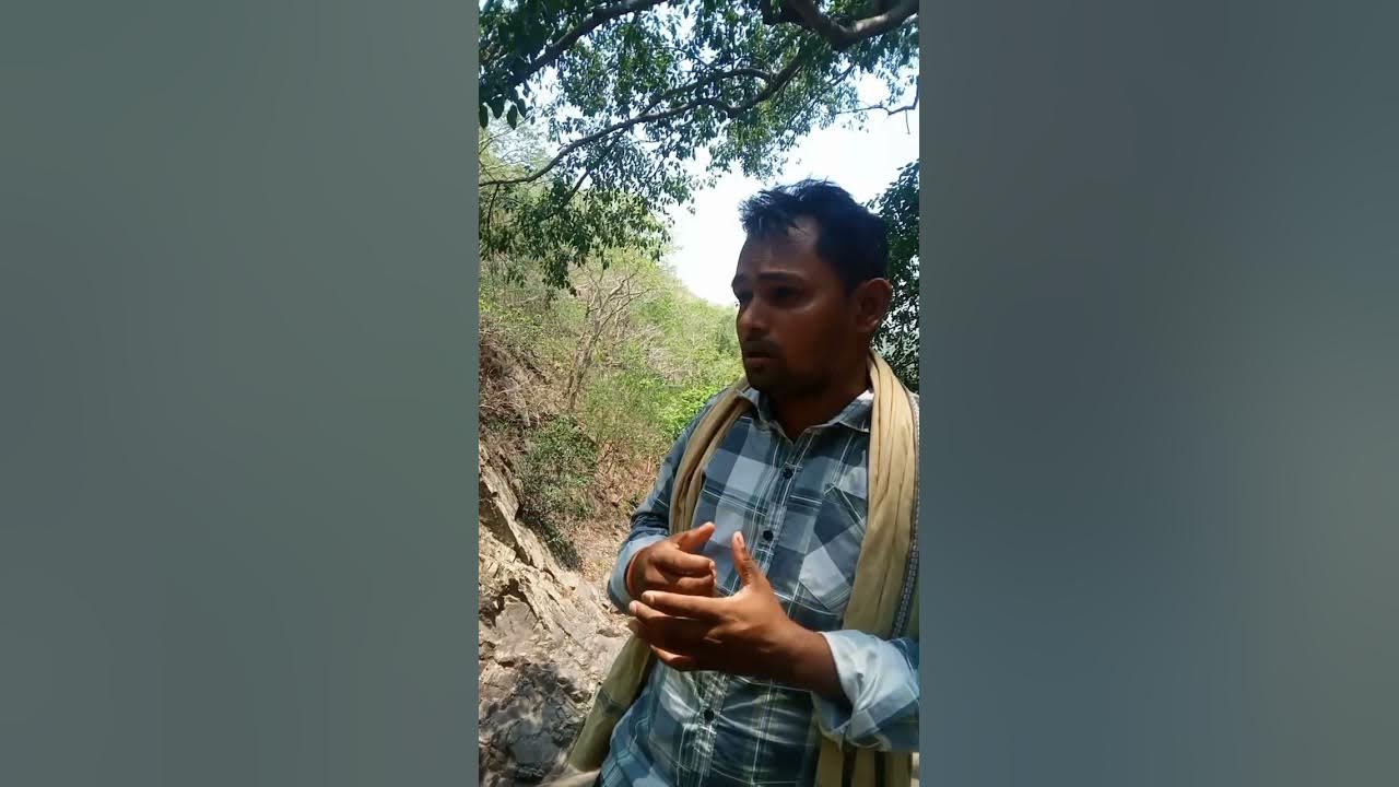 🍁velog video 🌿gosaidhara new you tube video please 🙏 like and subscribe to my new channel please ...