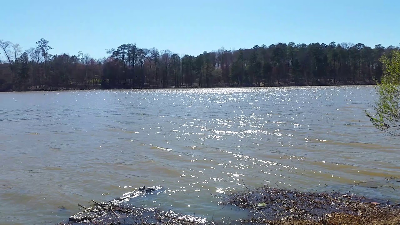 Lake Pine at Apex Community Park - YouTube
