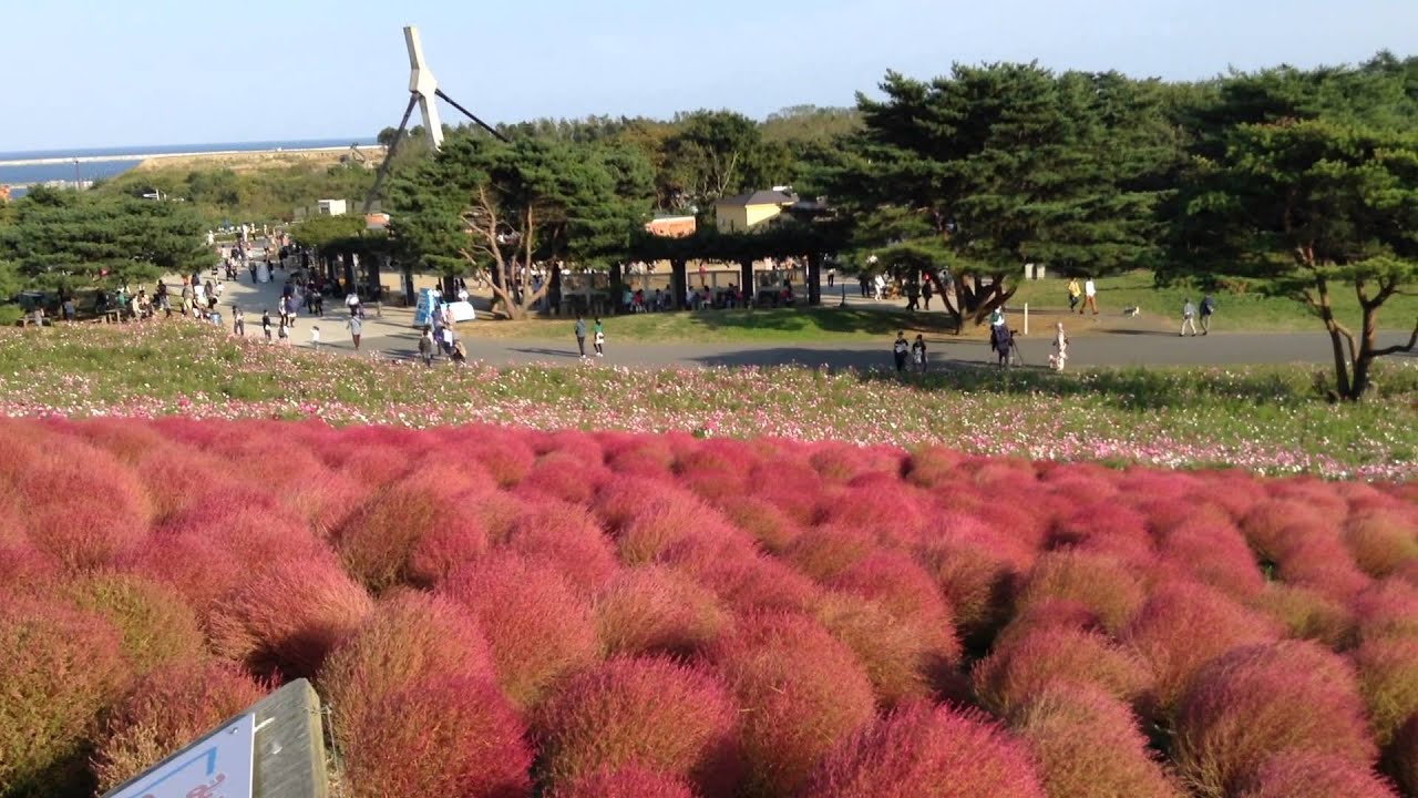Hitachi Kaihen Koen Hitachinaka ibaraki Japan - YouTube
