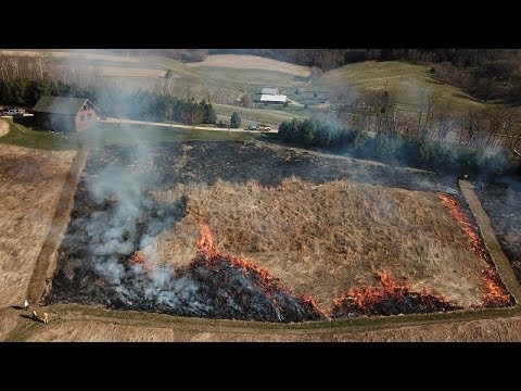 Controlled Burn - YouTube