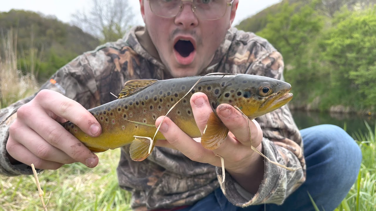 Wisconsin Driftless Area Secret Trout Stream - YouTube