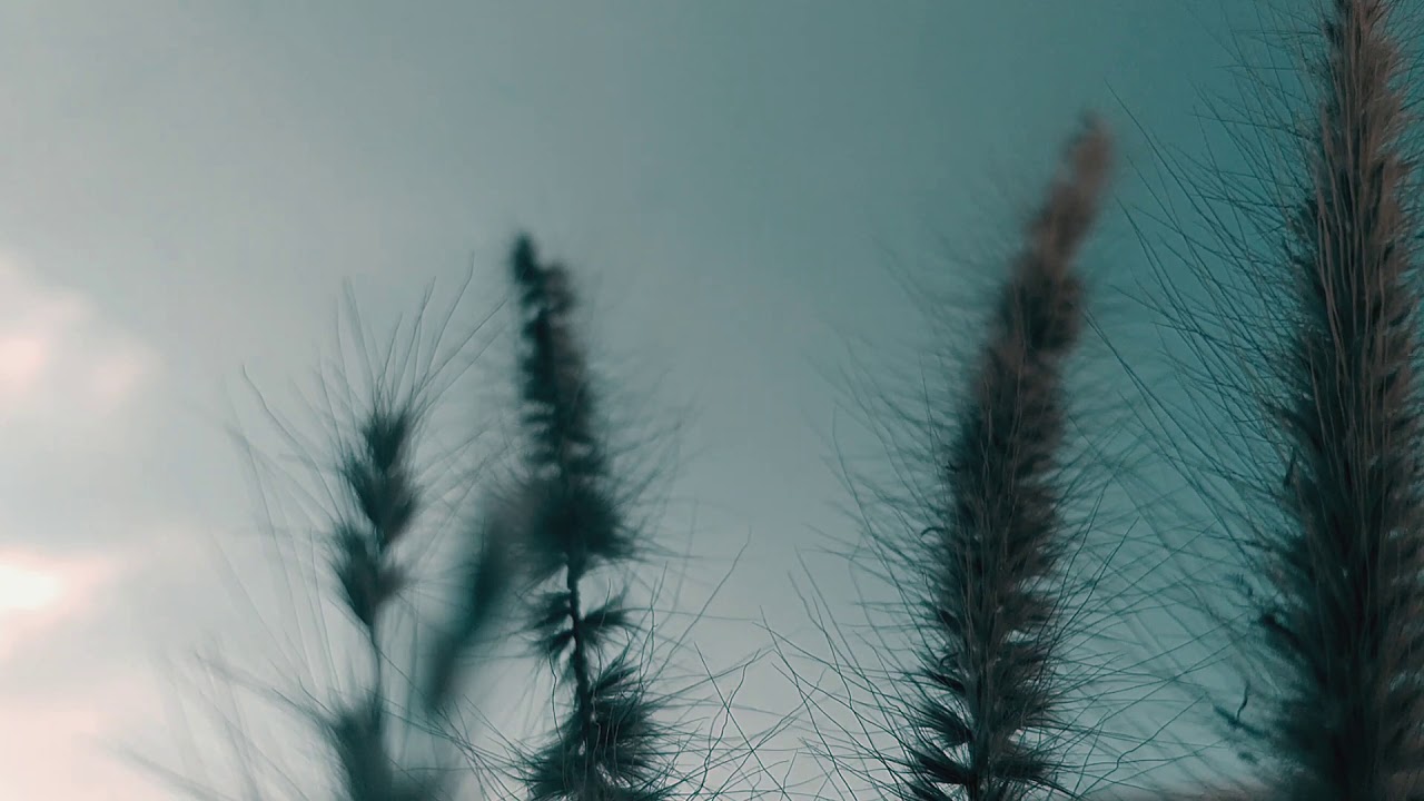 free footage video background - YouTube