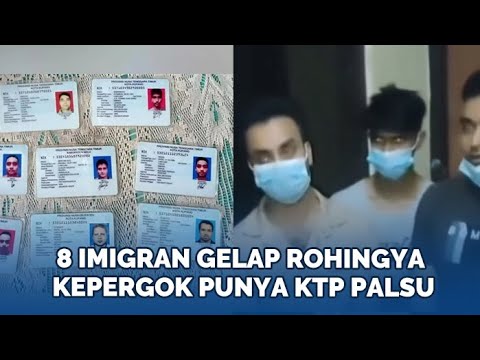 8 Imigran Gelap dari Rohingya Ditangkap di Perbatasan NTT, Kepergok ...