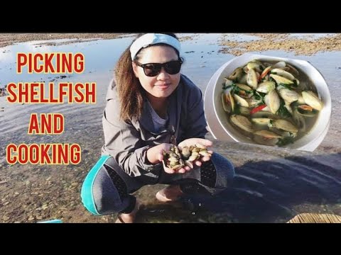 PICKING SHELLFISH PIPIS AND COOKING |Pinoy nzgarden - YouTube