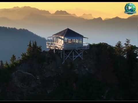 🌄 Nature in Slow Motion — Viral Beauty Clip! ⏳- NatureVideos369