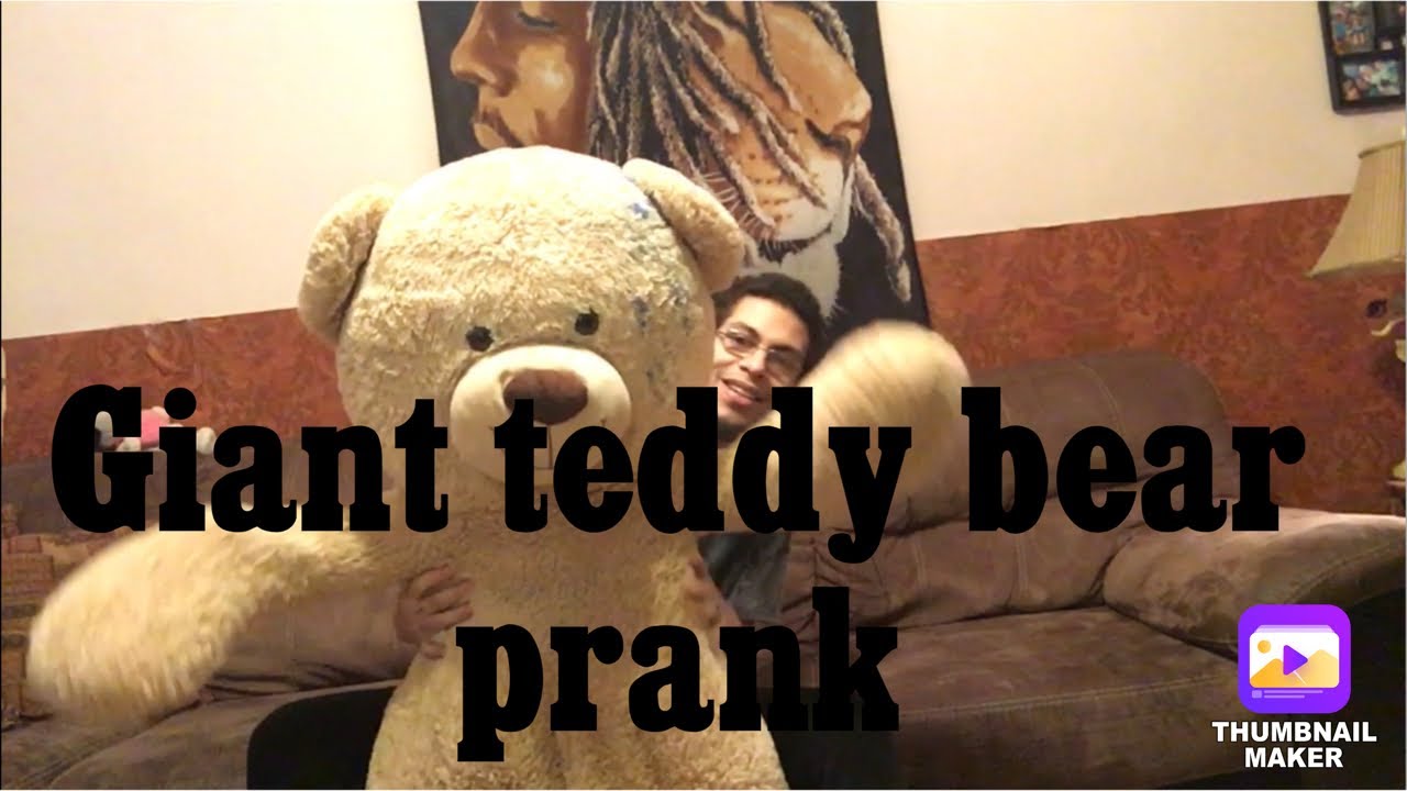 giant teddy bear prank (failed) - YouTube