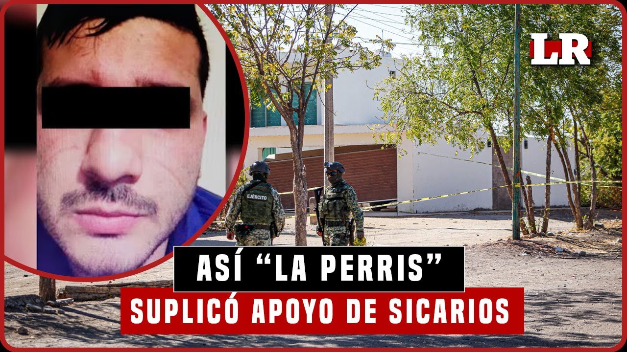 ABATEN a LA PERRIS en Sinaloa, líder de LOS CHAPITOS; HIJO de El Chapo ...