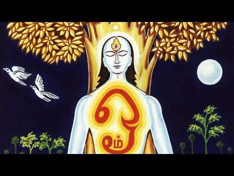 BUTTERFLY ASANA பதங்காசனா PATANGASANA - YouTube