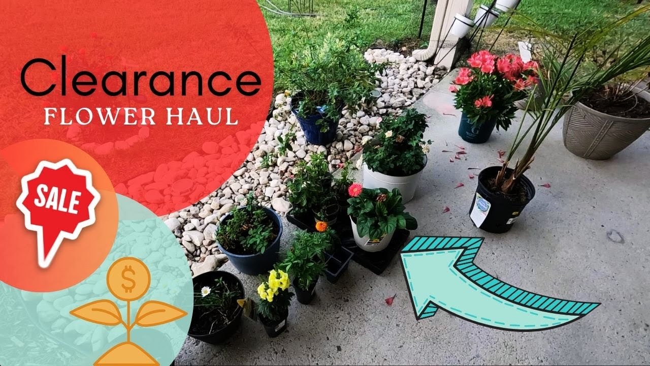 Spring Flower Clearance Haul | $1 Deals and $3 Palms - YouTube