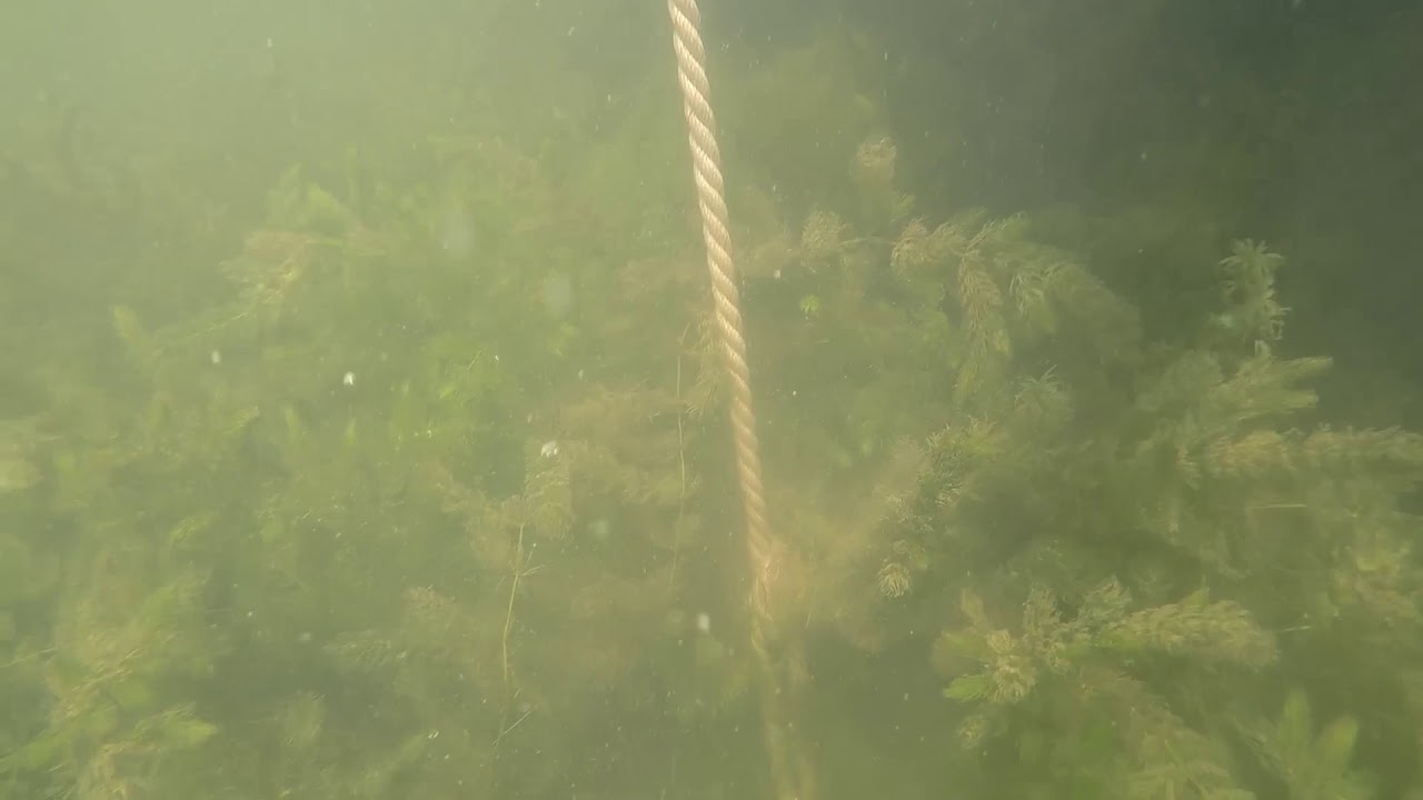 Ponar Sampling - YouTube