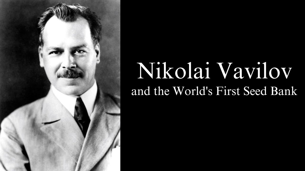 Nikolai Vavilov and the World's First Seed Bank | 2023 NHD Documentary ...