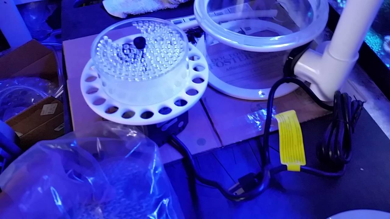 Skimmer Upgrade on the backyard reef tank - YouTube
