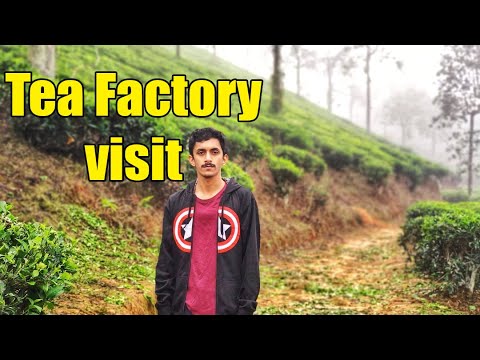 Arrapetta Tea Factory visit | Meppadi | Wayanad | Kerala | India - YouTube