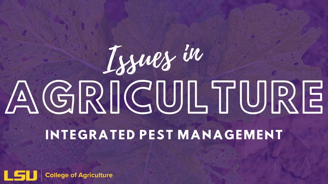 Integrated Pest Management | Issues in Ag - YouTube