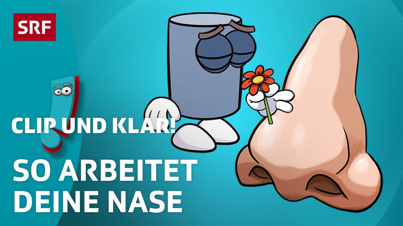 Nase: Unser Sinnesorgan fürs Riechen | SRF Kids – Clip und klar! | Für ...
