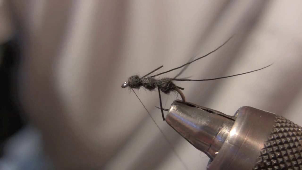 How to tie an Ant Pattern - YouTube