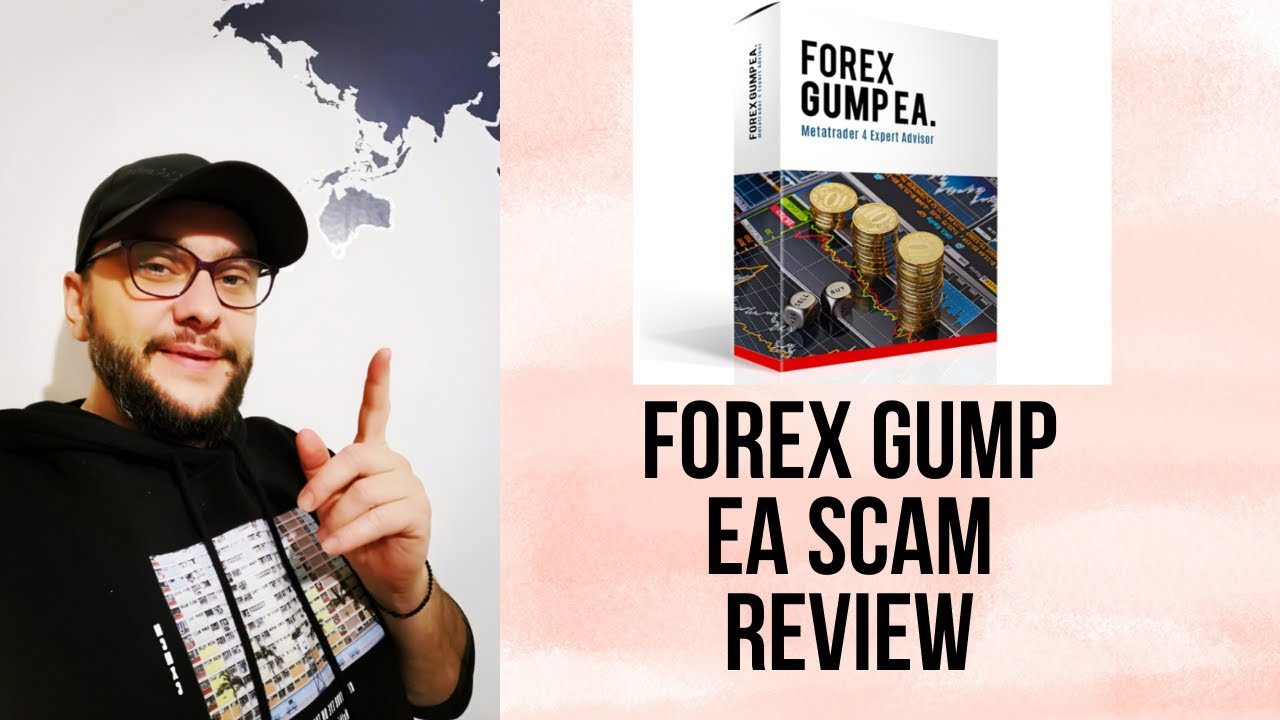 Forex Gump MT4 EA Review | Is This Trading Expert Advisor A Scam? - YouTube