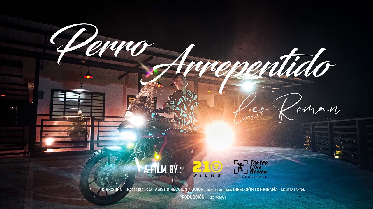 Perro Arrepentido - LEO ROMAN ( Video Oficial) - YouTube