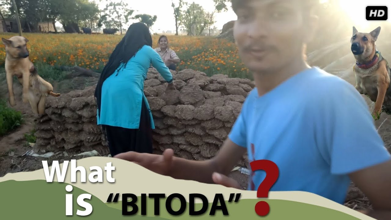 What is BITODA ? | बिटोड़ा क्या होता है ? - YouTube
