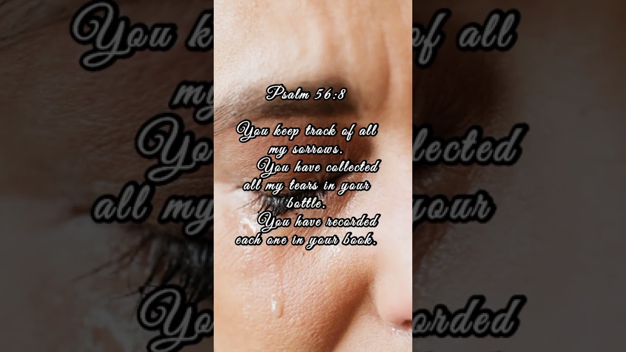 BIBLE VERSE PSALM 56:8 - YouTube