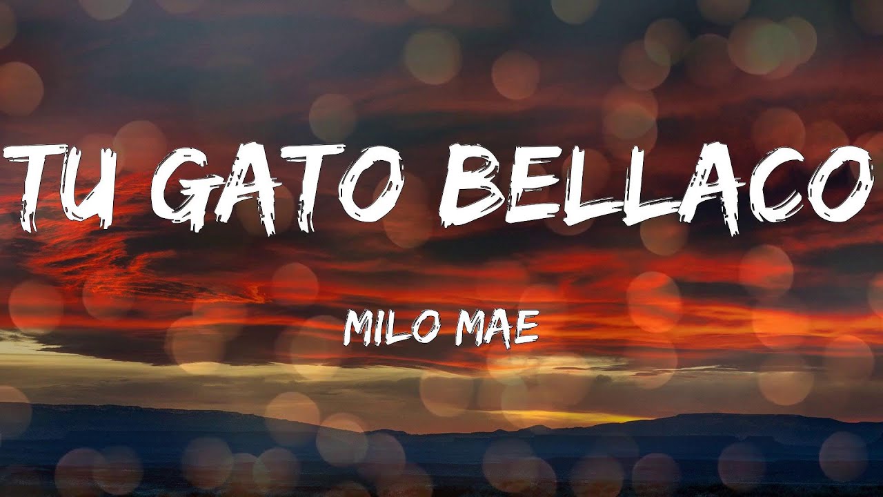 Milo Mae - Tu Gato Bellaco (Letras) - YouTube