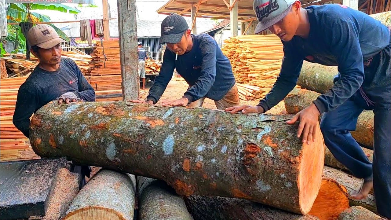 Si Merah,,! wujud kayu durian berusia 50thn digergaji balok bahan ...