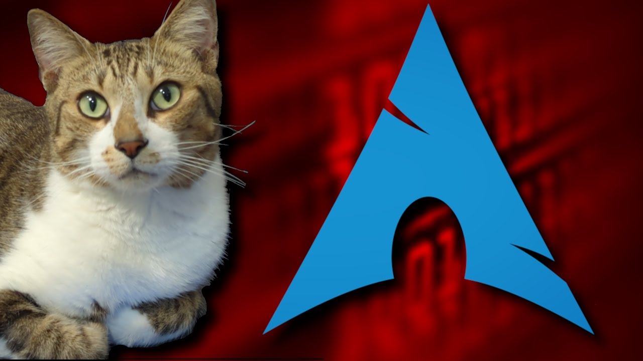 How to use the Arch User Repository (AUR) - YouTube