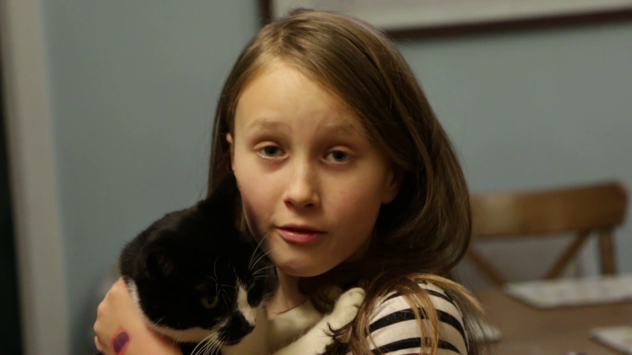 The Secret Life Of Cats Documentary - YouTube