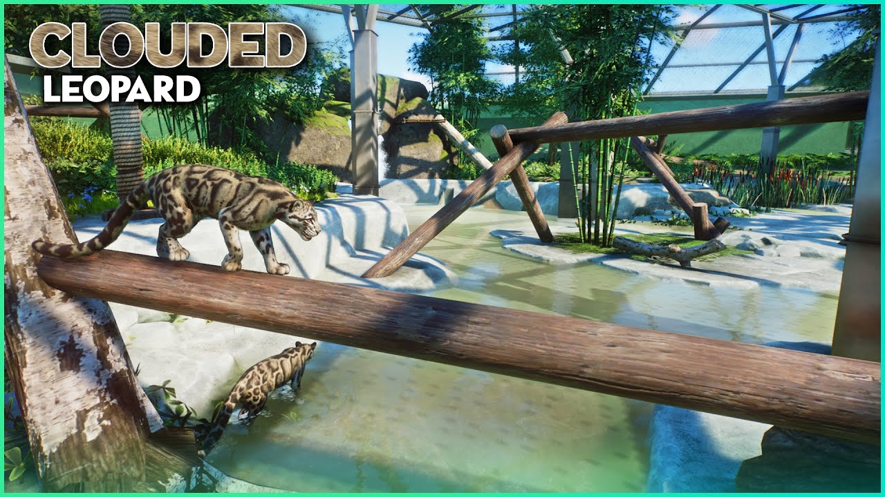 Cool OUTDOOR Leopard Habitat - Planet Zoo Lets Play - YouTube