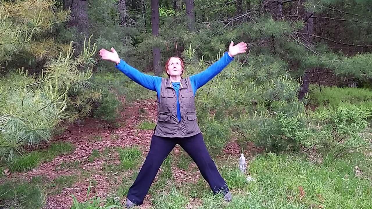 Qigong with Winifred Boyd - Double Plates, Review, New Move, Complete ...