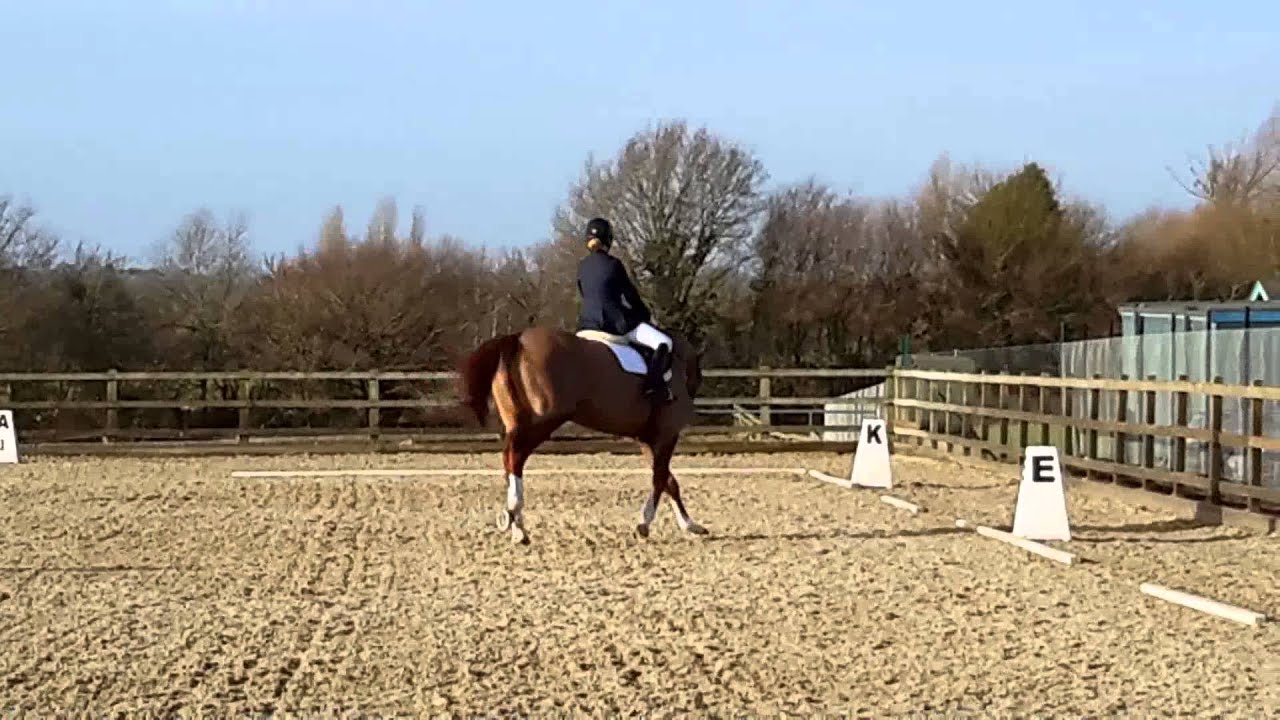 Central Leader combined training - dressage - YouTube