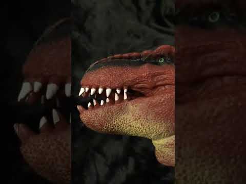 Talking with Mr Rex after Smlfan’s horrible wreck