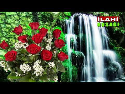 İlahi Kuşağı | Dağ ALLAH der, taş ALLAH der, gül ALLAH der, kuş ALLAH der, Alem aşk ile ALLAH der