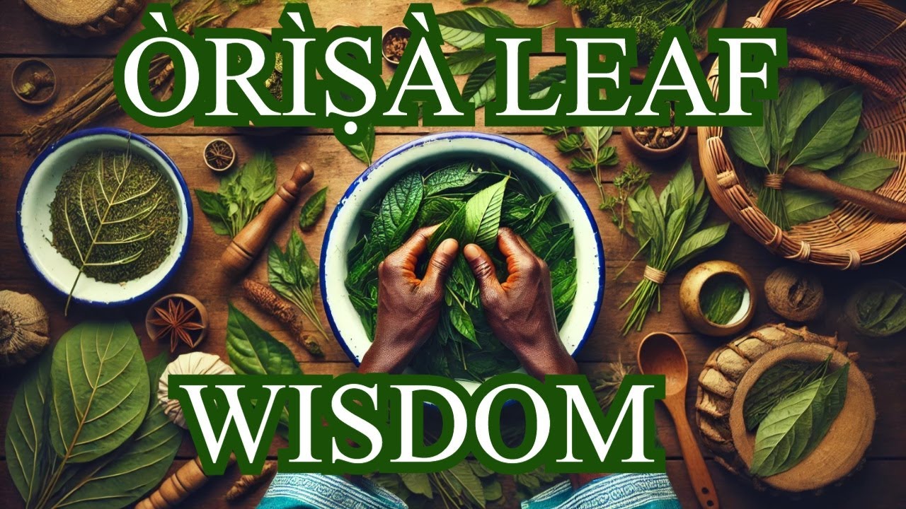 The Wisdom of Leaves: The Foundation of Òrìṣà Worship - YouTube
