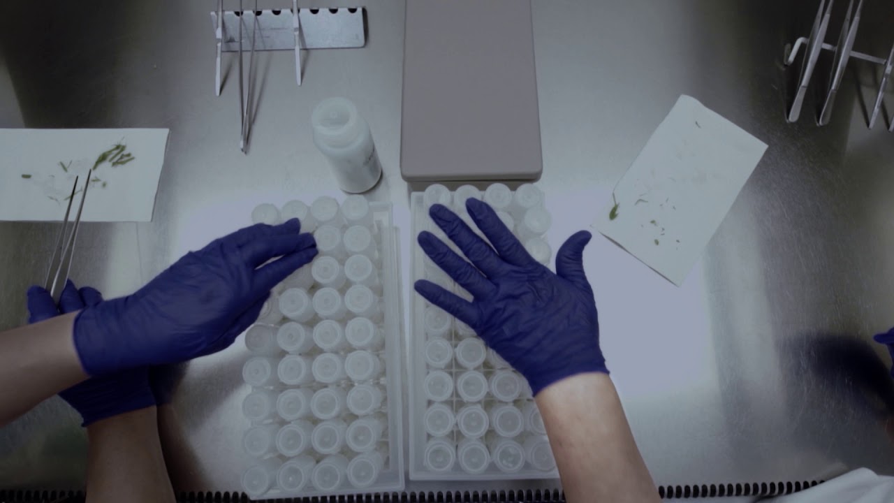 Inside the Lab - YouTube