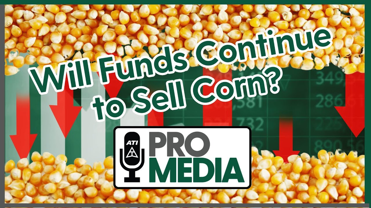 Will Funds Continue to Sell Corn? - YouTube