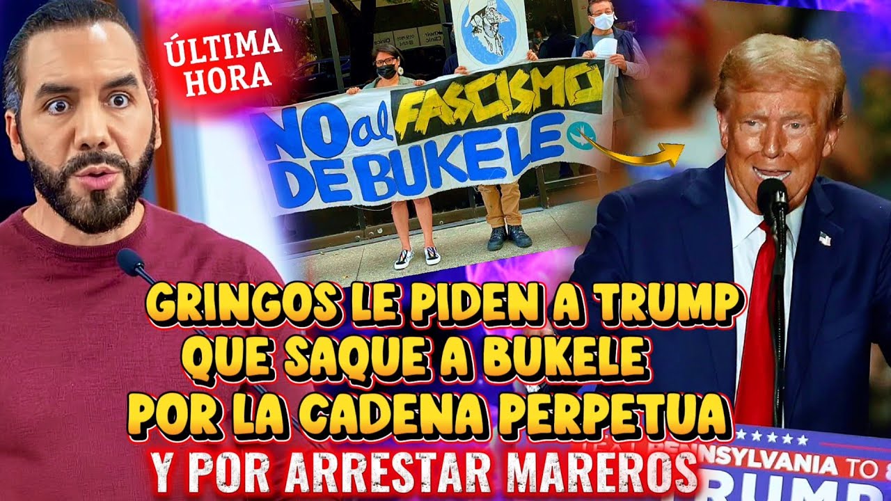 BOMBAZO NAYIB BUKELE LO QUIEREN SACAR GRINGOS SE LO PIDEN A TRUMP POE ...