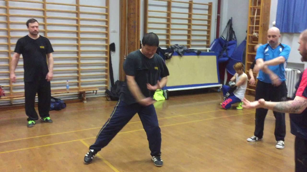 Basic Pigua exercise by Lü Baochun - YouTube