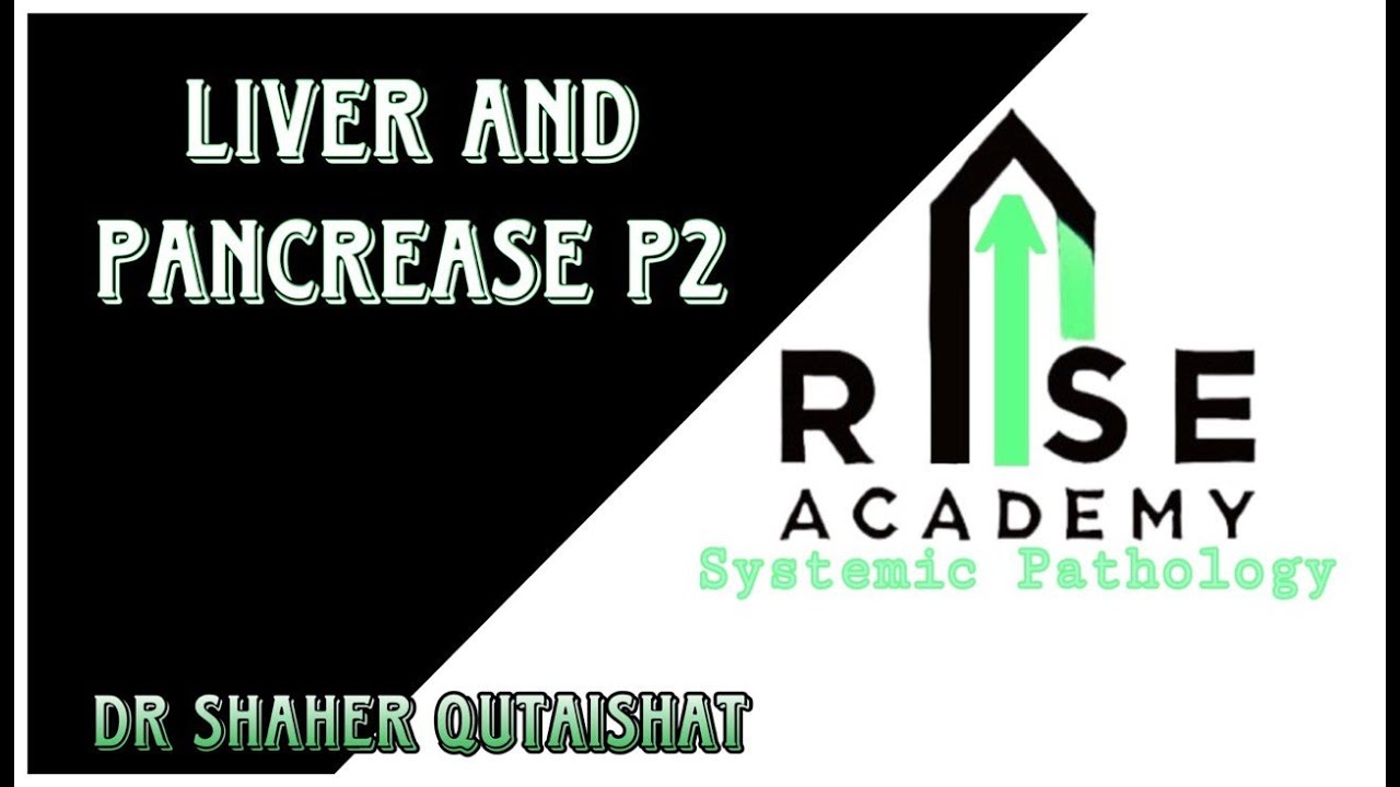 Liver And Pancrease Part 2 Youtube