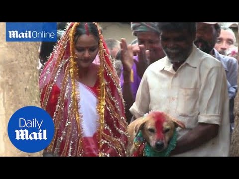 Indian girl marries dog in bizarre wedding ceremony - Daily Mail - YouTube