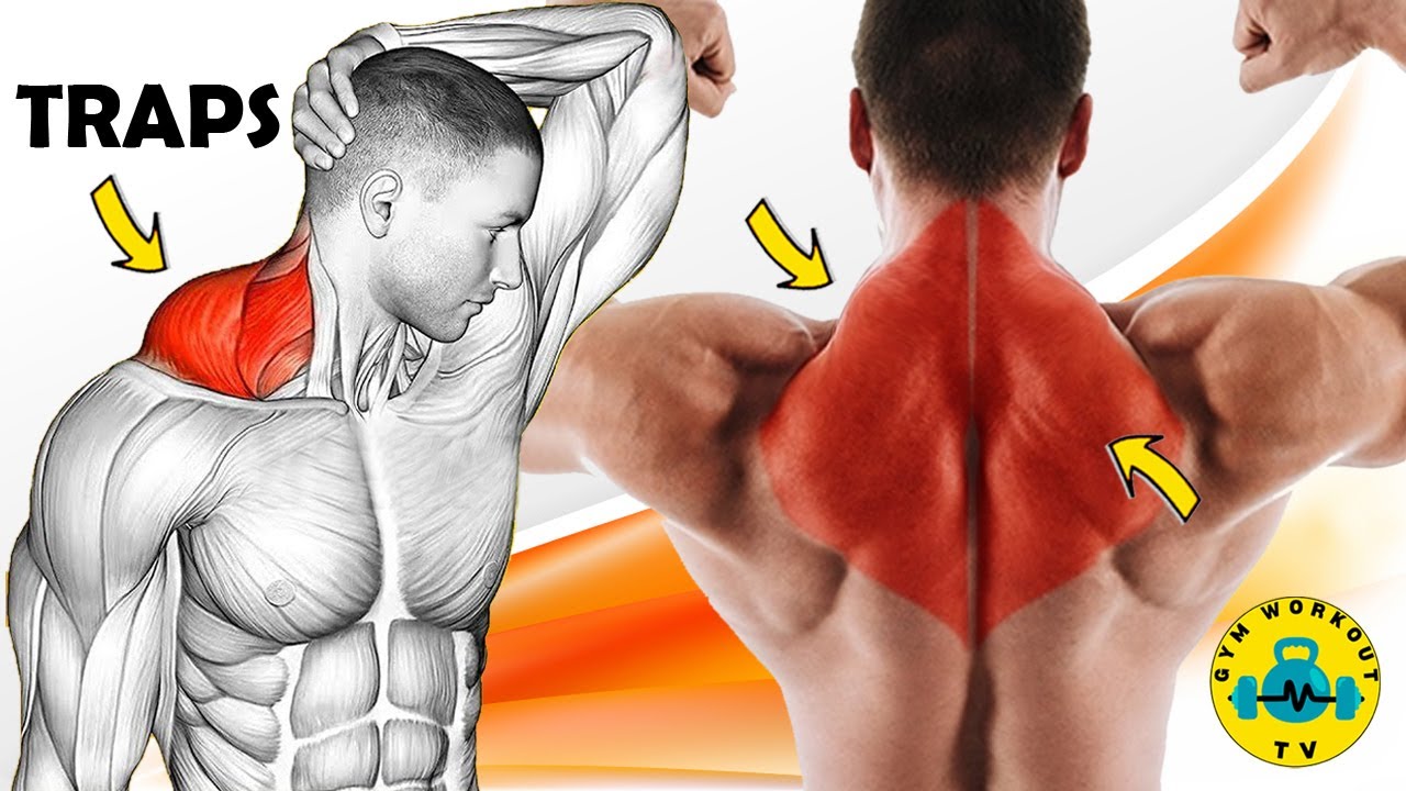 Get Massive Trap Gains With This Killer Workout! - YouTube