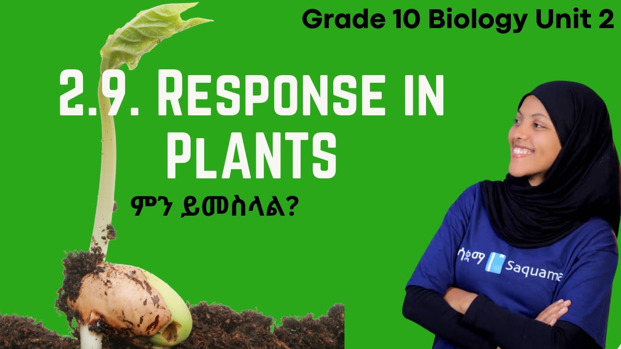 Grade 10 Biology Unit 2: 2.9 Response in Plants Saquama|ሳቋማ - YouTube