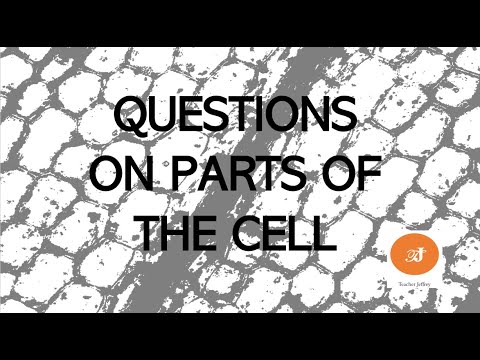 Questions on Parts of the Cell I Biology Online Class - YouTube